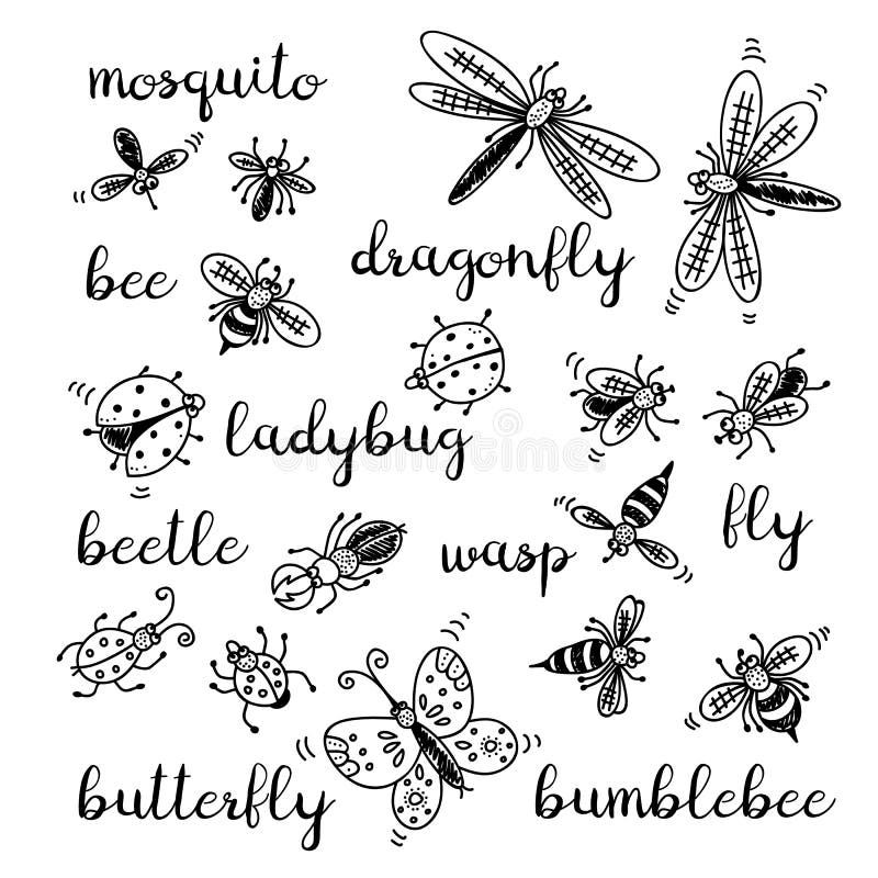 Insects Stock Illustrations – 51,712 Insects Stock Illustrations ...