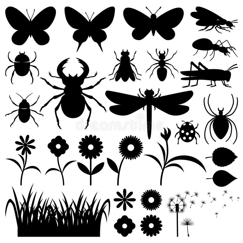 Vectors of insects stock vector. Illustration of butterfly - 3634697
