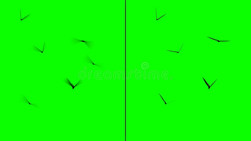 Mosquitoes Flying on Green Screen Stock Footage - Video of parasitic ...