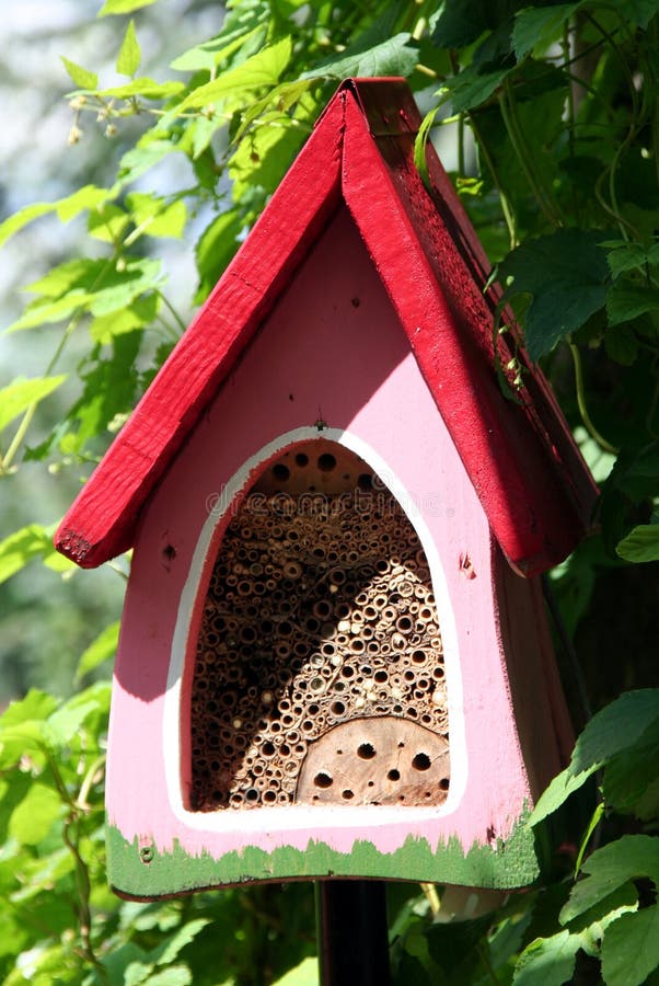 Insects house stock image. Image of home, insect, nature - 15585129