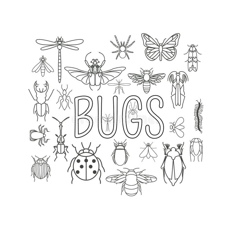 Different Kinds of Insects Outline Icons in Set Collection for Design ...
