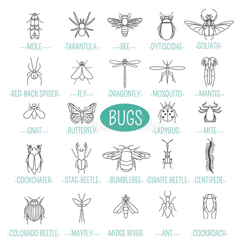 Insects Icon Flat Style. 24 Pieces in Set Stock Vector - Illustration ...