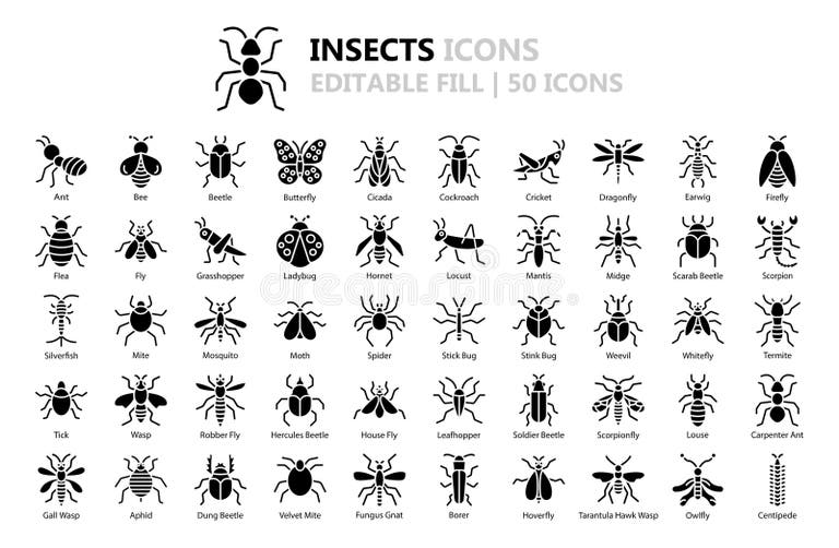 Insect Icon Set: 50 Intricate Outline Vector Icons in Black (EPS ...