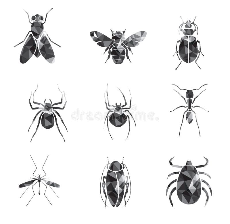 Insects Icon Set. Animals Vector Illustration Isolated on White ...
