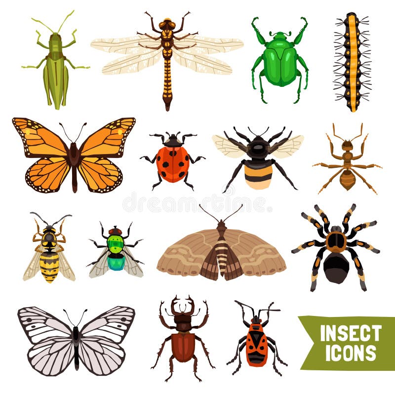 Insects Icons Set stock vector. Illustration of life - 66197083