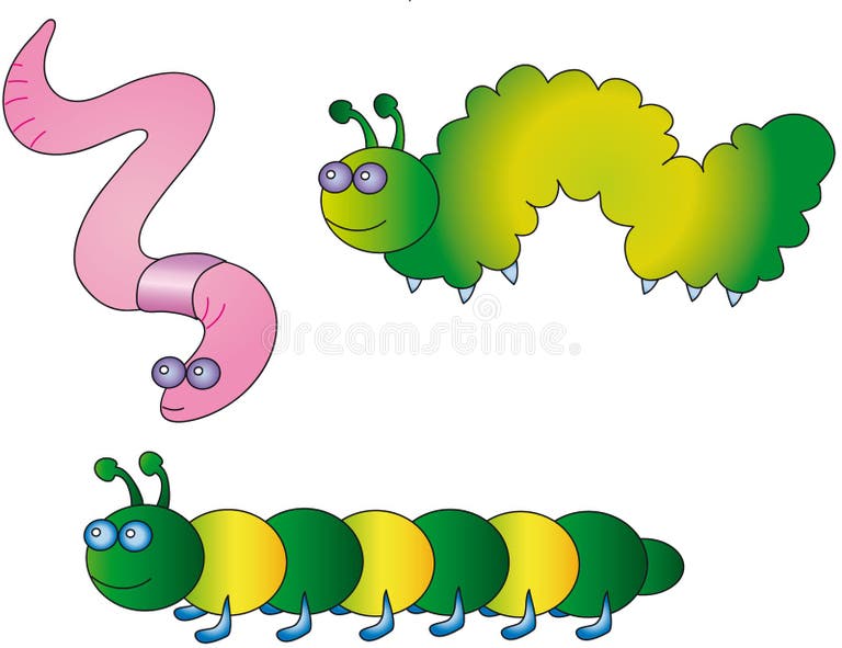 Insects illustration stock illustration. Illustration of slimy - 10206446