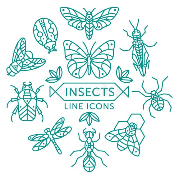 Insects Icon Set Outline Stock Illustrations – 2,123 Insects Icon Set ...