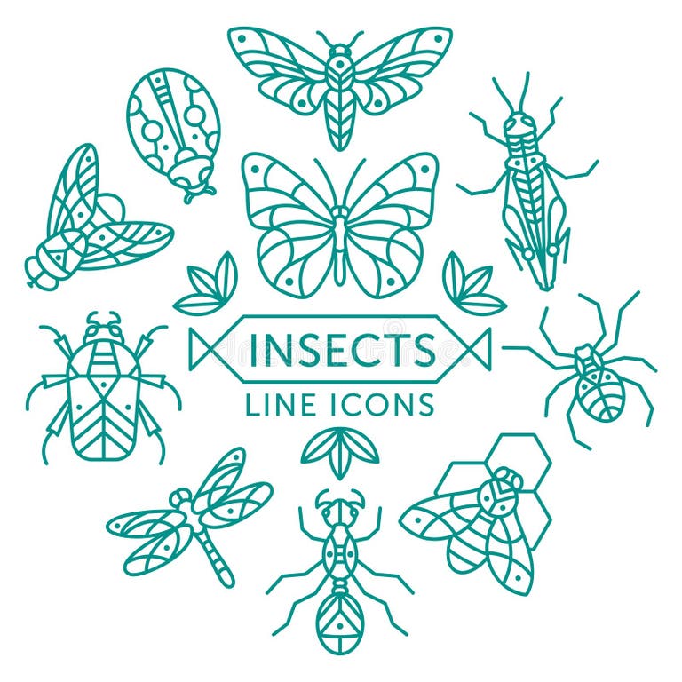 Insects Icon Set Outline Stock Illustrations – 1,925 Insects Icon Set ...