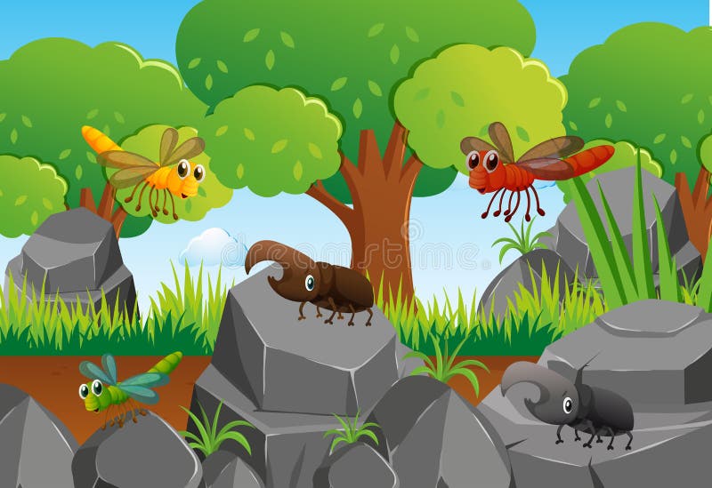 Insects Living in the Garden Stock Vector - Illustration of background ...