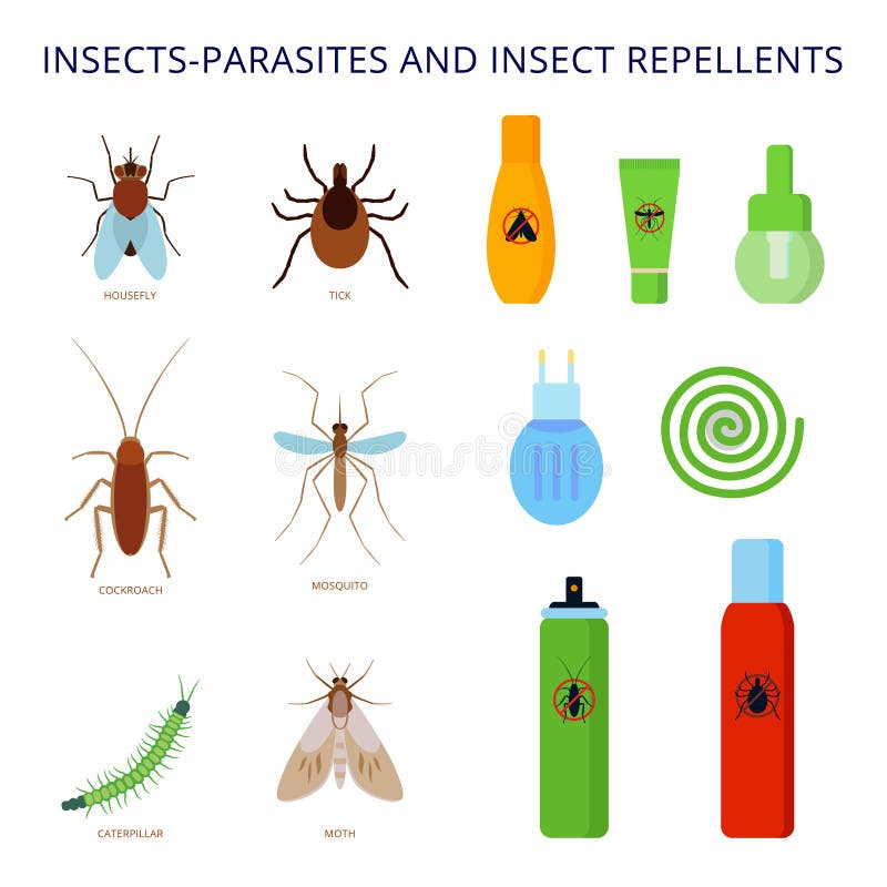 Insects-parasites and Insect Repellents Stock Vector - Illustration of ...