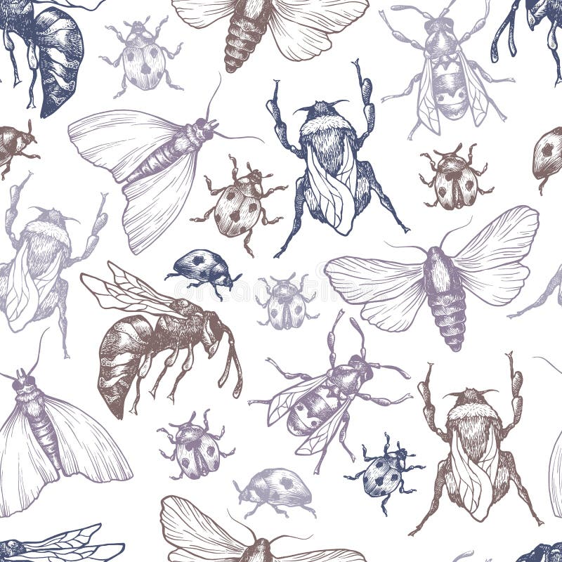 Insects Pattern. stock illustration. Illustration of encyclopedia ...