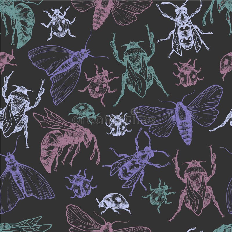 Insects Pattern. stock vector. Illustration of herbivorous - 81909500