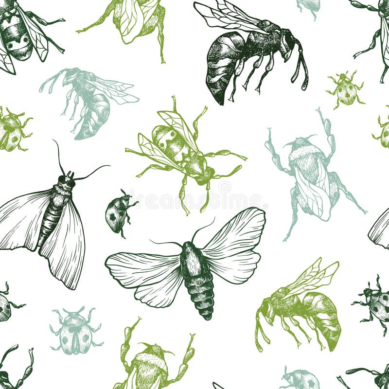 Insects Pattern. stock vector. Illustration of element - 81906722