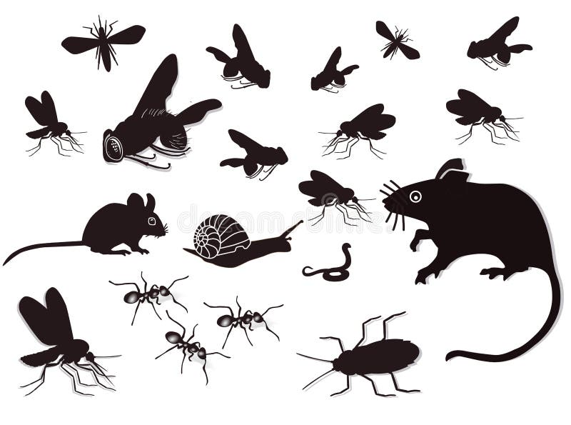 Vermin Stock Illustrations – 3,443 Vermin Stock Illustrations, Vectors ...