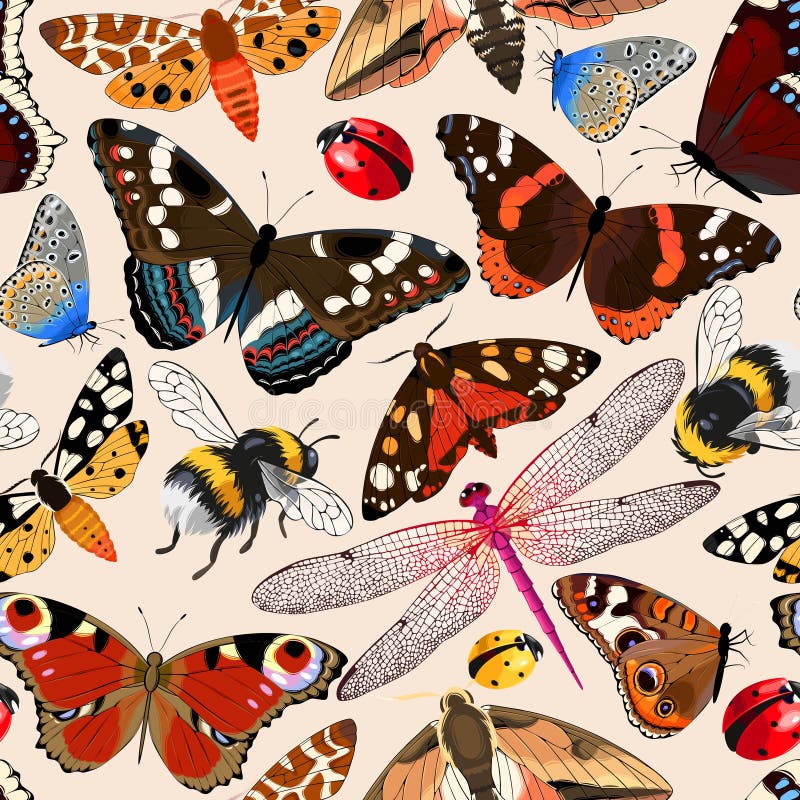 Insects seamless pattern stock vector. Illustration of hipster - 91678275