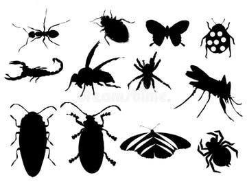 Crawling Insects Stock Illustrations – 4,160 Crawling Insects Stock ...