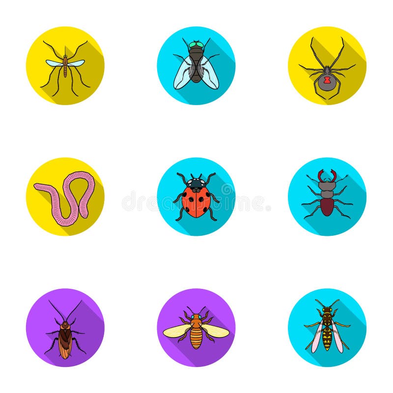 Insects Set Icons in Flat Style. Big Collection of Insects Symbol Stock ...