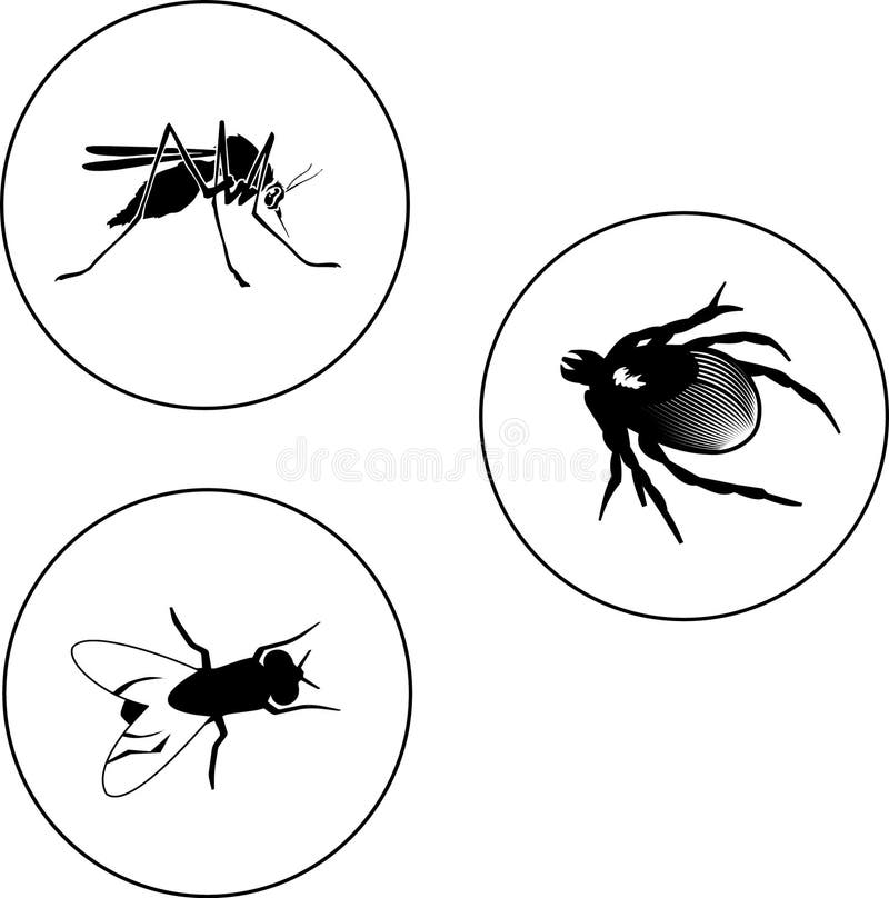 Insects Set Including Bug, Fly and Mosquito Stock Vector - Illustration ...