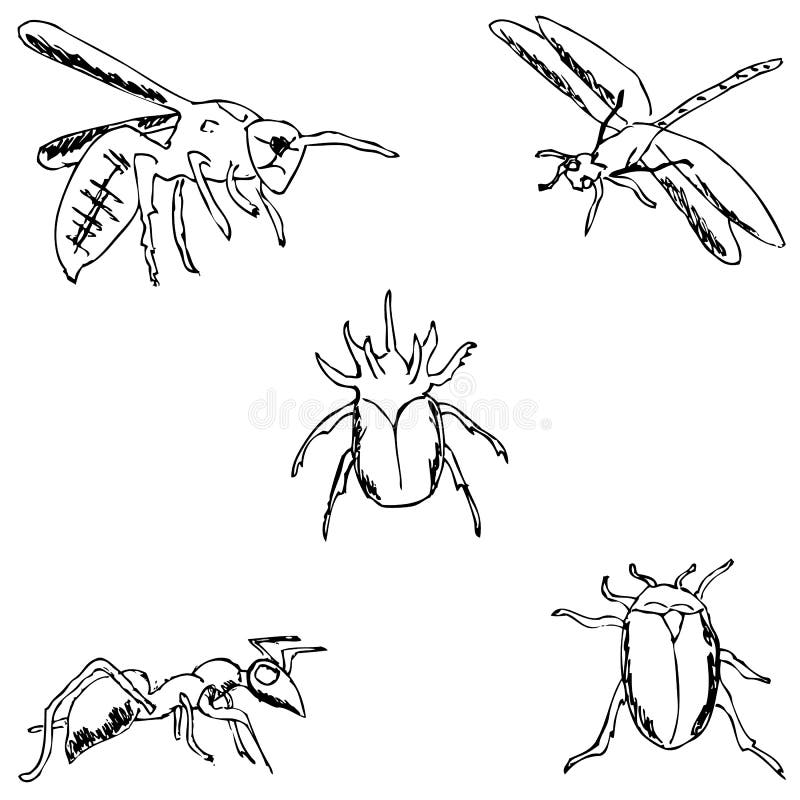 Insects. a sketch by hand stock vector. Illustration of silhouette ...
