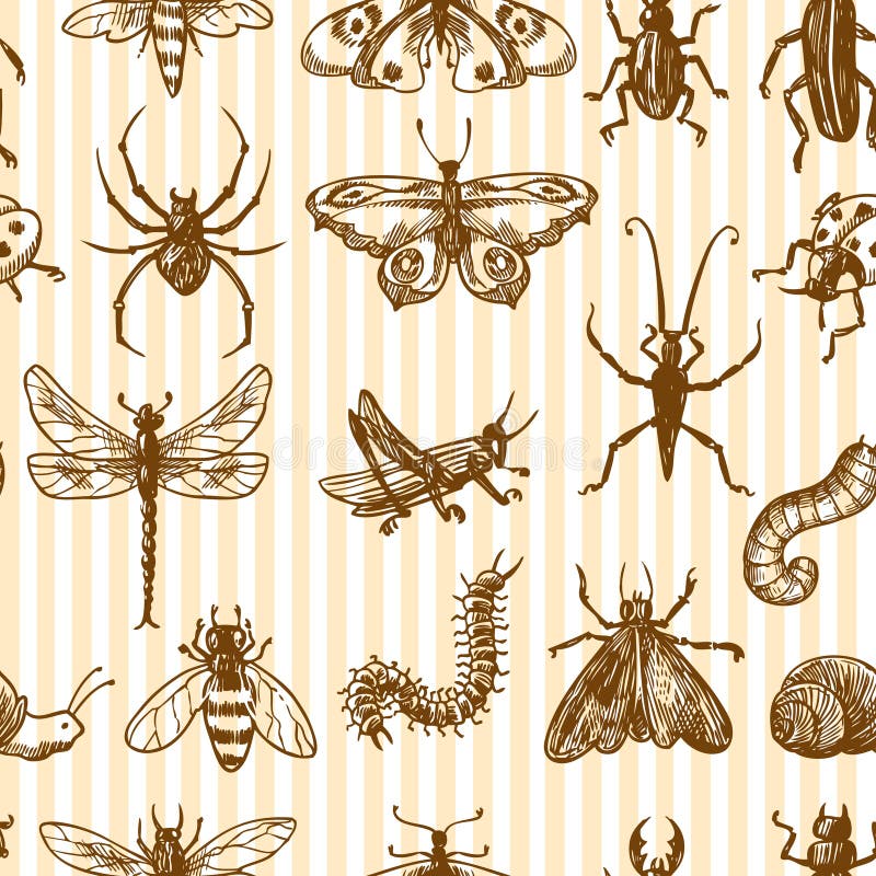 Insects Sketch Seamless Pattern Monochrome Stock Vector - Illustration ...