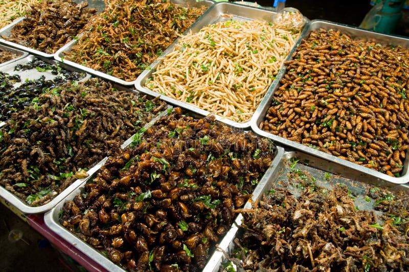 Insects Sold As Snacks in Thailand Stock Photo - Image of thailand ...