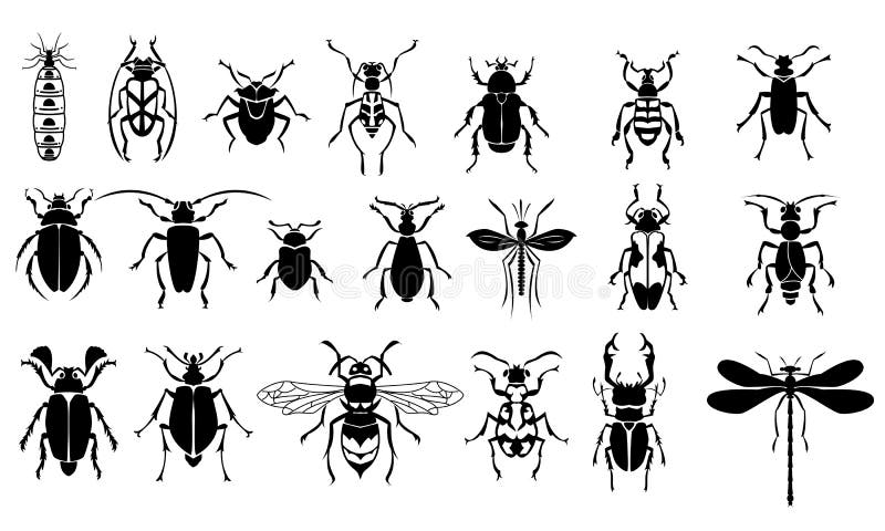 Insects vector set stock vector. Illustration of bellicosus - 42321611