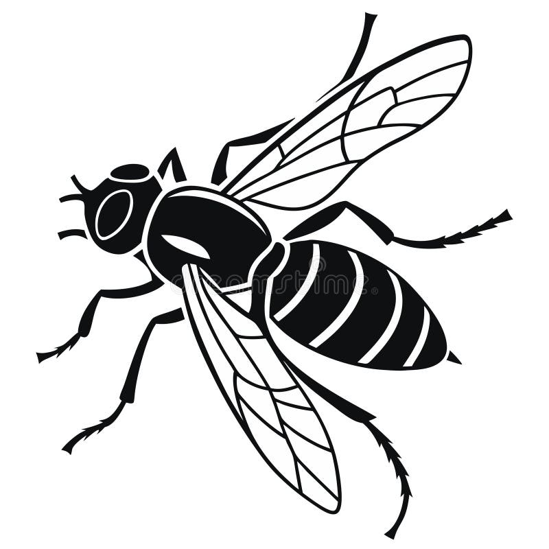 Black and White Fly Vector Vector Illustration Stylized Isolated Insect ...