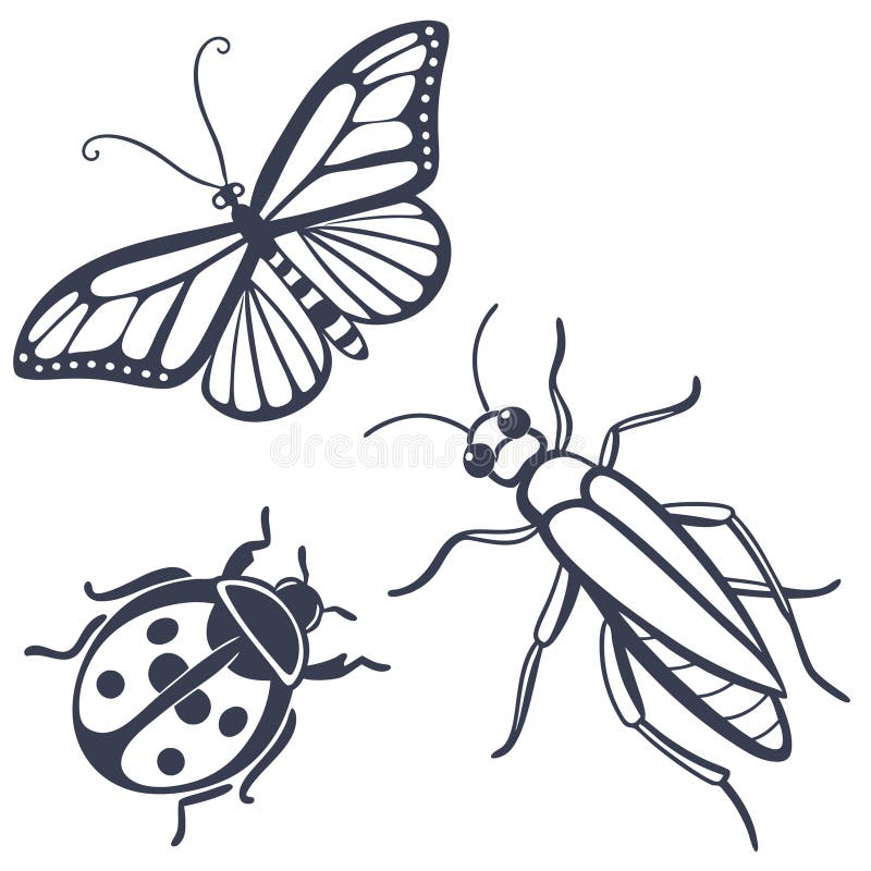 Vector Vector Illustration of Insects, Monochrome Style, Perfect for ...