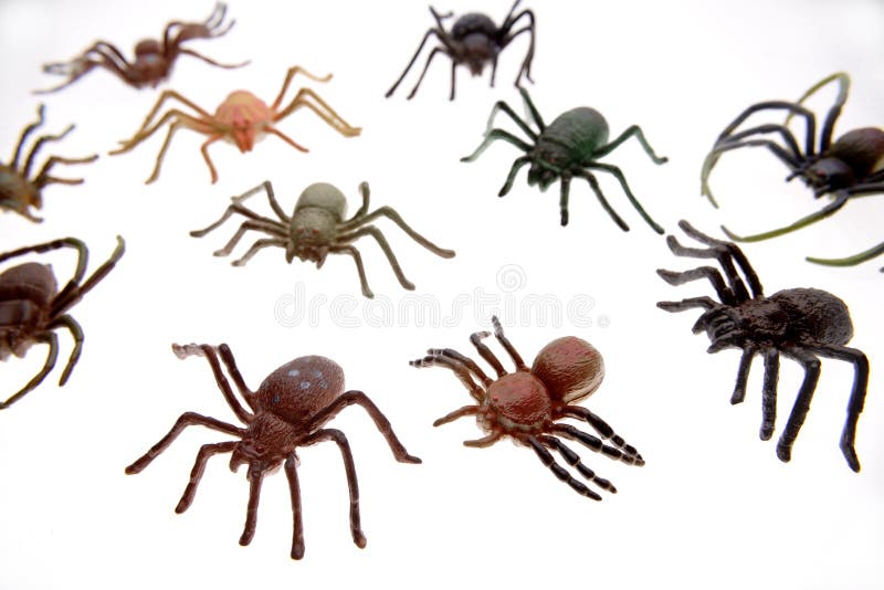 228,738 Insekte Stock Fotos - Freie & Royalty-Free Stock Fotos von ...