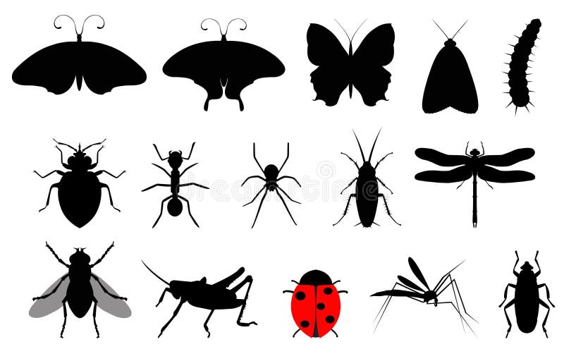 Insekte stock abbildung. Illustration von dargestellt - 3868497