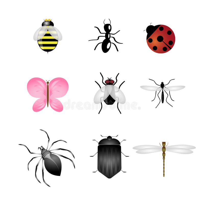 Insekte - Set vektor abbildung. Illustration von ameise - 13997908