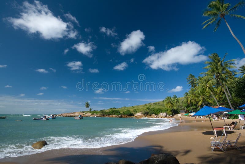 Paradiesinsel Bild. Bild: 6442114