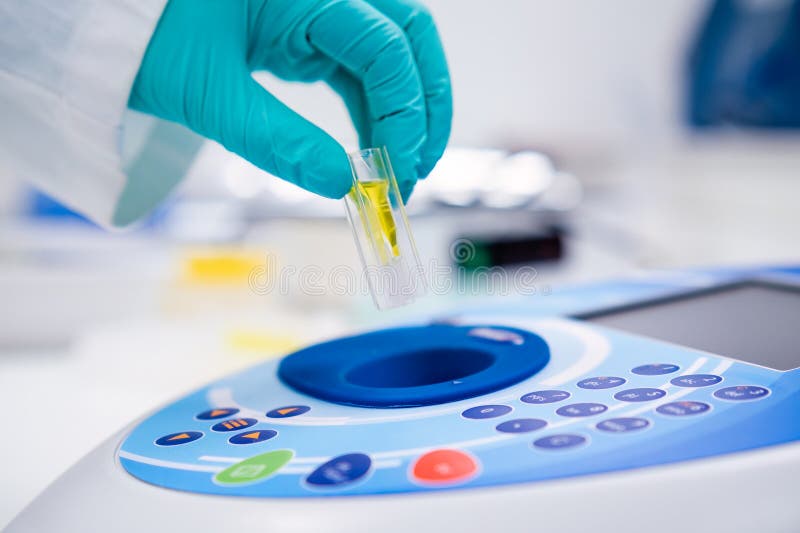 Insert the Cuvette into the Spectrophotometer for DNA and ...