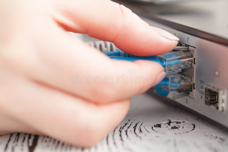 Network Hub and Patch Cables Stock Photo - Image of automatism, connect ...