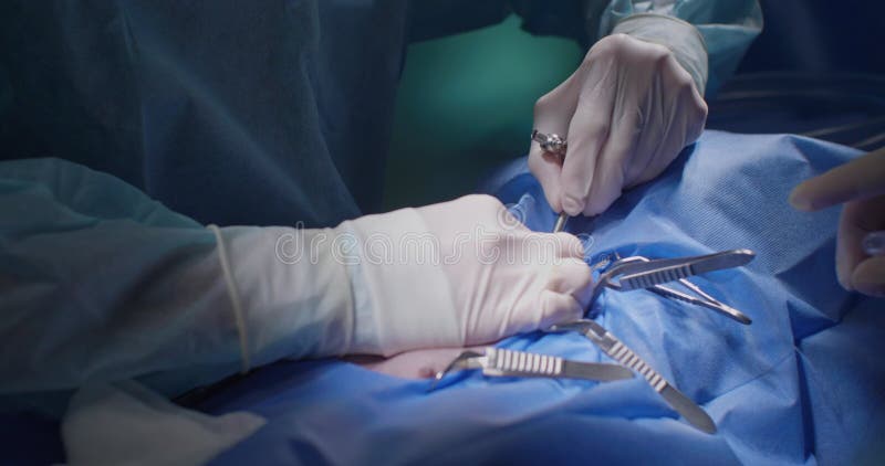 Insertion of Endoscopic Ports into the Abdominal Cavity of a Dog in ...