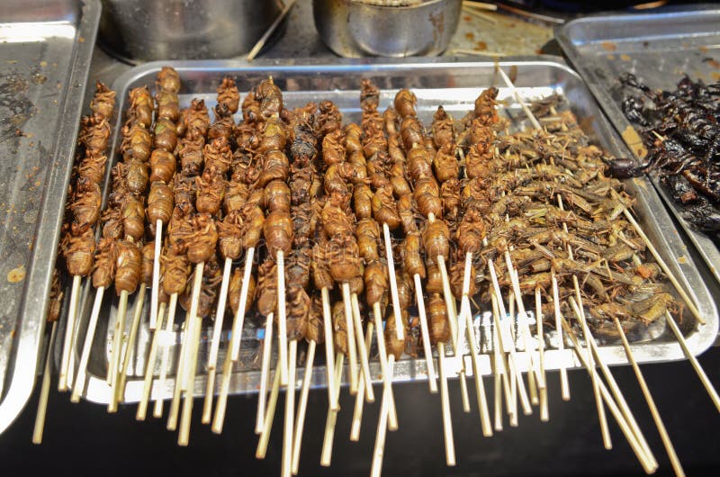 Crisalidi Fritte Della Cicala, Cucina Cinese Immagine Stock - Immagine ...