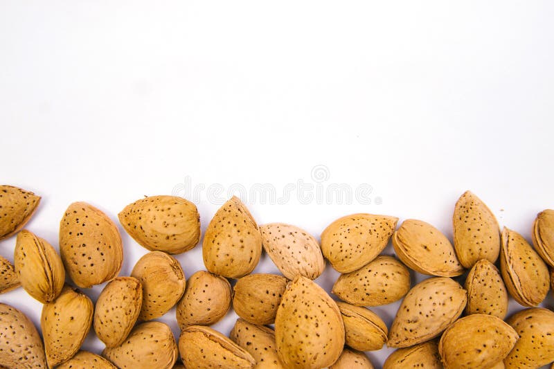Inshell almond isolated stock photo. Image of ingredient - 131314516
