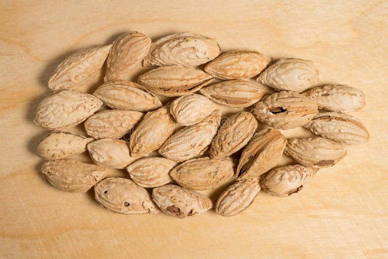 Inshell Almonds for Further Preparation Stock Photo - Image of ...