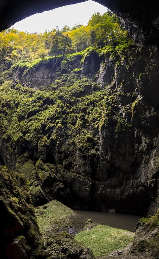 Inside the AbyssInside the Abyss Abyss Stock Photo - Image of forest ...