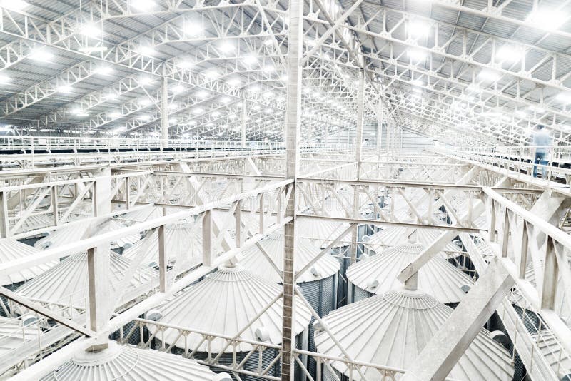 Inside Animal Feed Storage Bins at Silo in Warehouse Stock Image ...