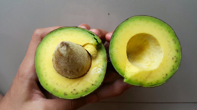 The inside of the avocado stock image. Image of vegetable - 201610177
