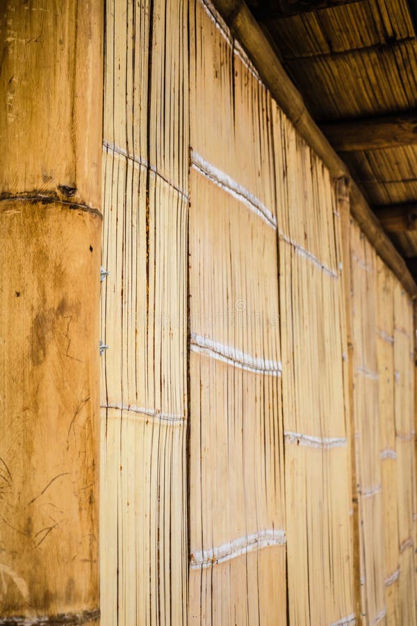 Inside Bamboo Texture Background Stock Photo - Image of dried, inside ...