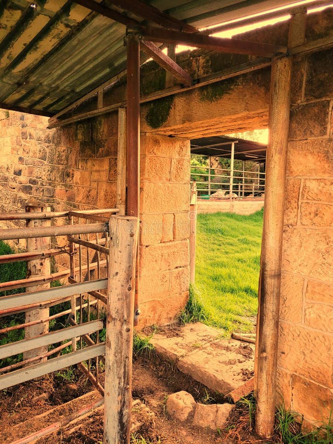 Inside Barn with Green Grass Outside Stock Image - Image of wall, grass ...
