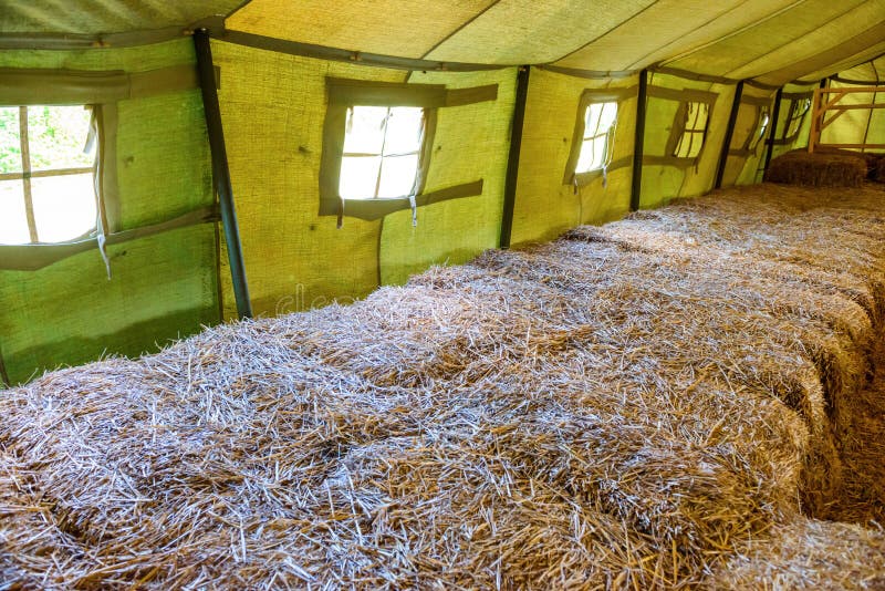Inside Army Tent Stock Photos - Free & Royalty-Free Stock Photos from ...