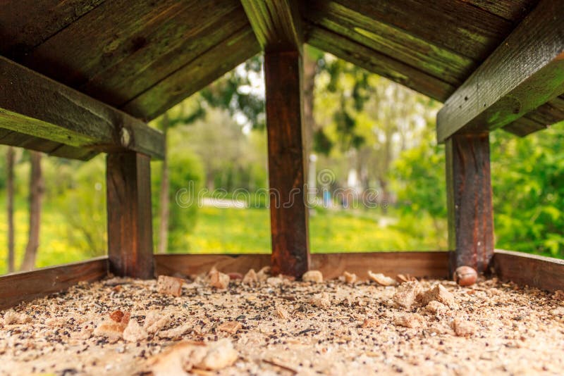 231 Inside Birdhouse Stock Photos - Free & Royalty-Free Stock Photos ...