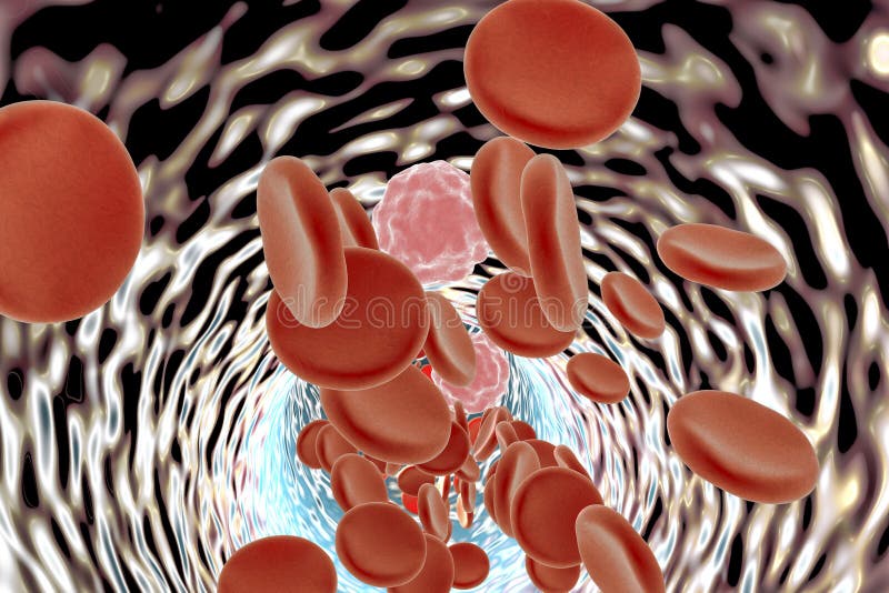 Inside blood vessel stock illustration. Illustration of magnification ...