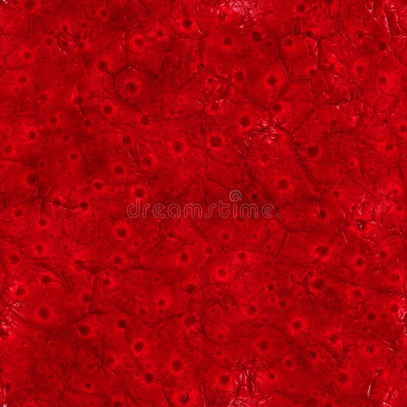 Inside Body 2 (Seamless Texture) Stock Photo - Image of cancer, animal ...