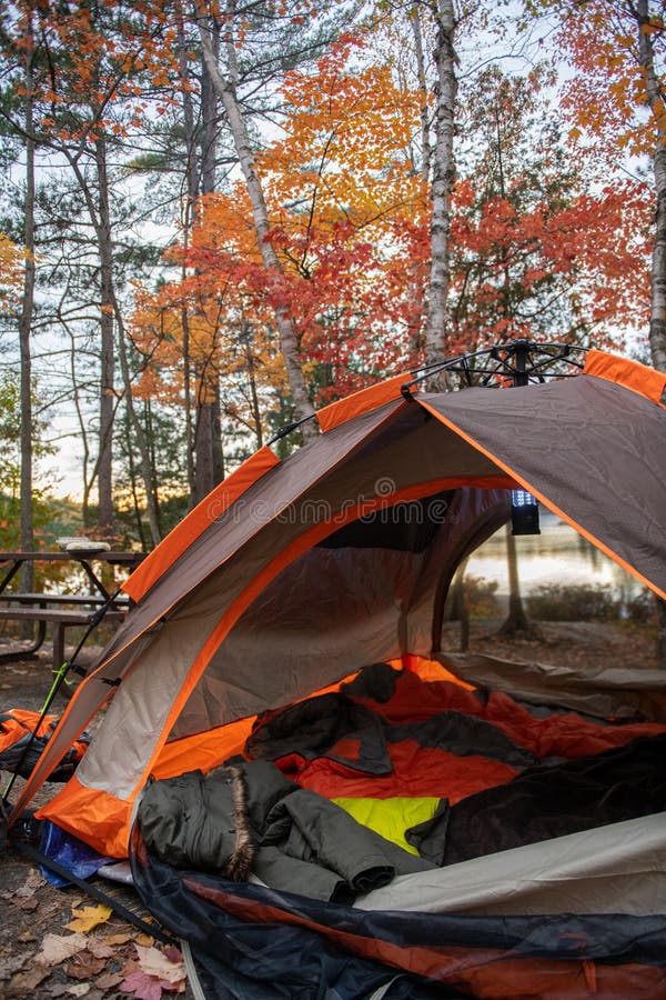 Inside of a Camping Tent with Beautiful and Bright Fall Foliage Stock ...