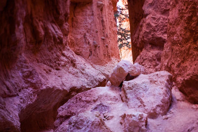 Inside Canyon, Bryce Canyon National Park Stock Photo - Image of rock ...