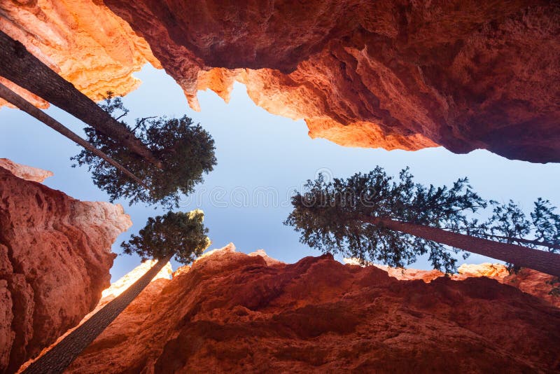 Inside Canyon, Bryce Canyon National Park Stock Image - Image of ...